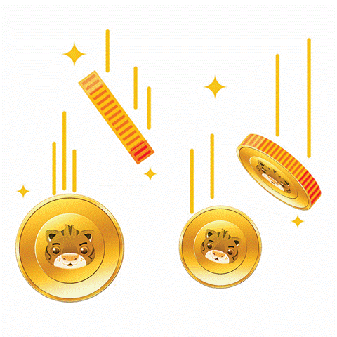 Sookee Rewards Program